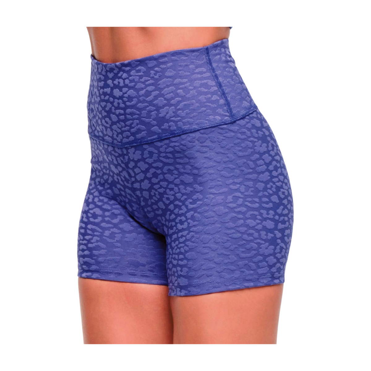 Funscape High Waisted Biker Shorts (Special Order) – ZumbaShop Australia